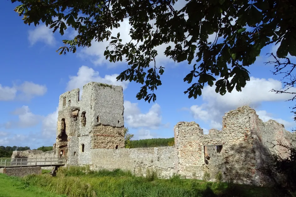 Holt | A Visitor's Introduction to Holt