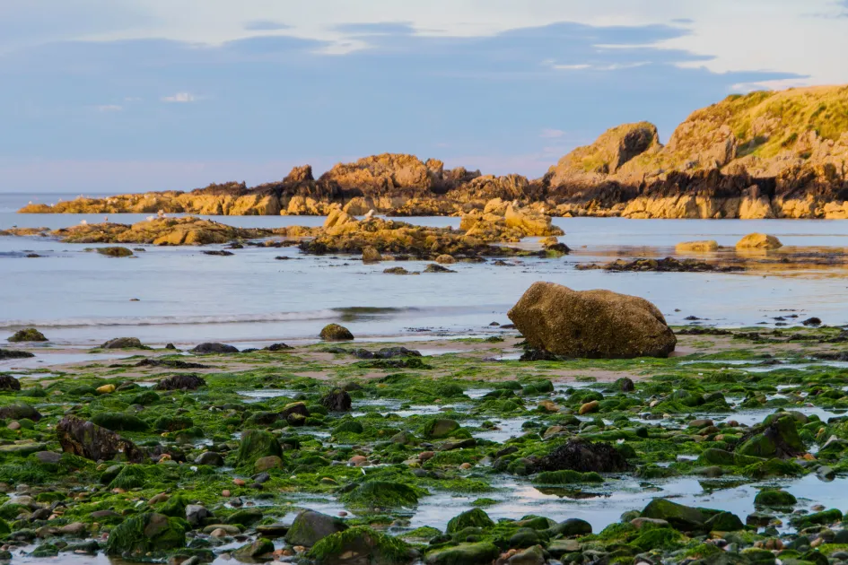 Discover Dornoch | A Visitor's Introduction to Dornoch