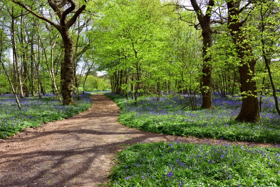 A Visitor's Introduction to Polegate, East Sussex