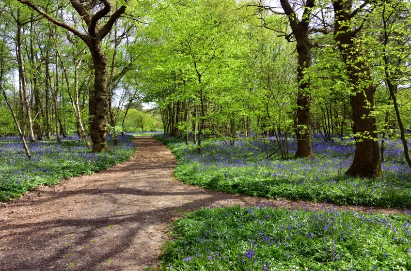 A Visitor's Introduction to Polegate, East Sussex