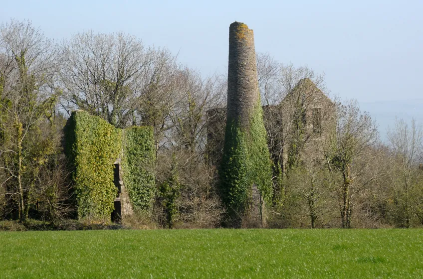 Callington | A Visitor's Introduction to Callington