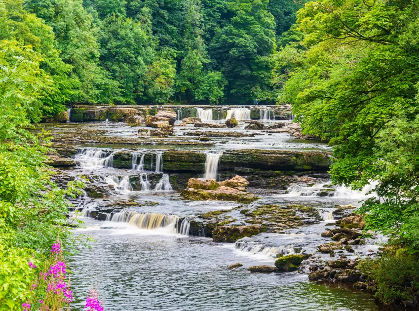 A Visitor's Introduction to Aysgarth