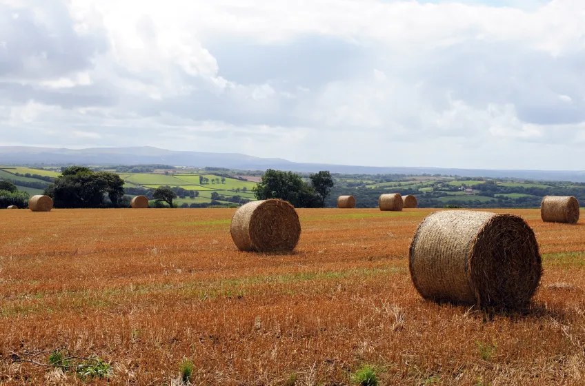 Discover Winkleigh | A Visitor's Introduction to Winkleigh