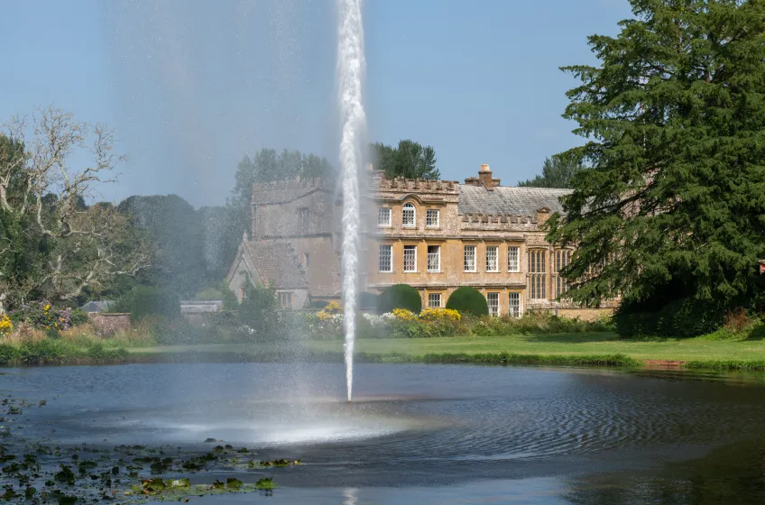 Chard | A Visitor's Introduction to Chard