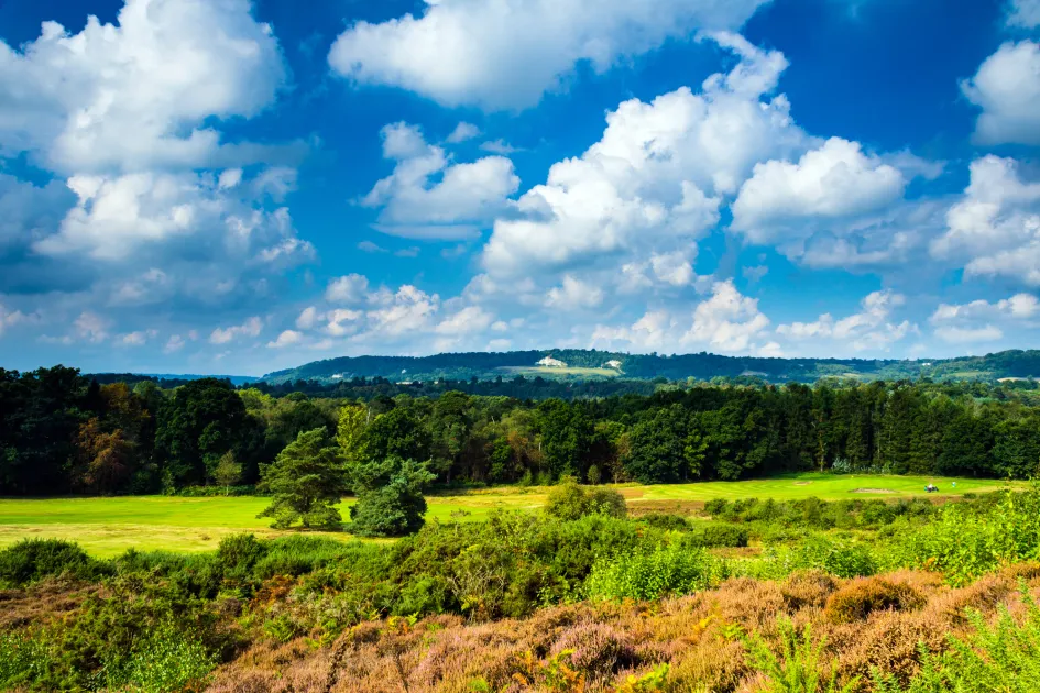 Discover Reigate | A Visitor's Introduction to Reigate