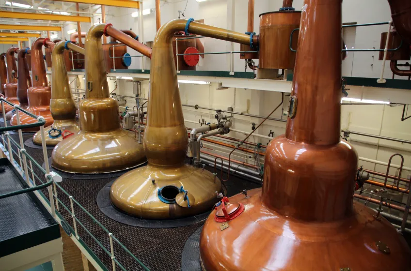 Discover Rothes | A Visitor's Introduction to Rothes