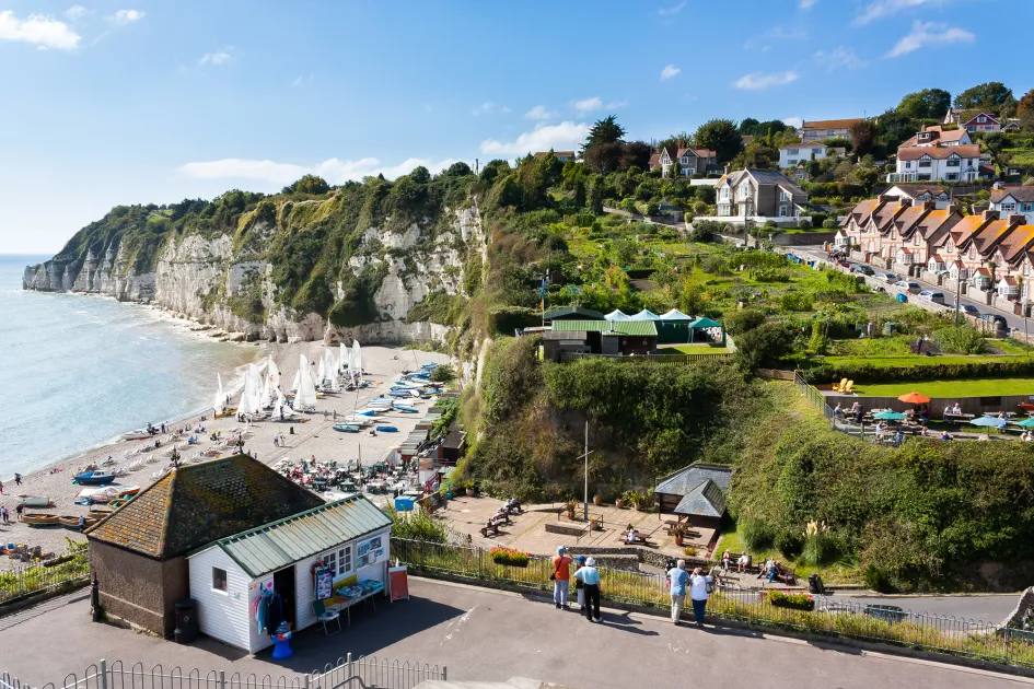Beer | A Visitor's Introduction to Beer, Devon