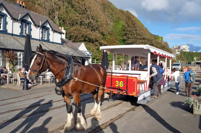 Isle of Man Attractions & Activities