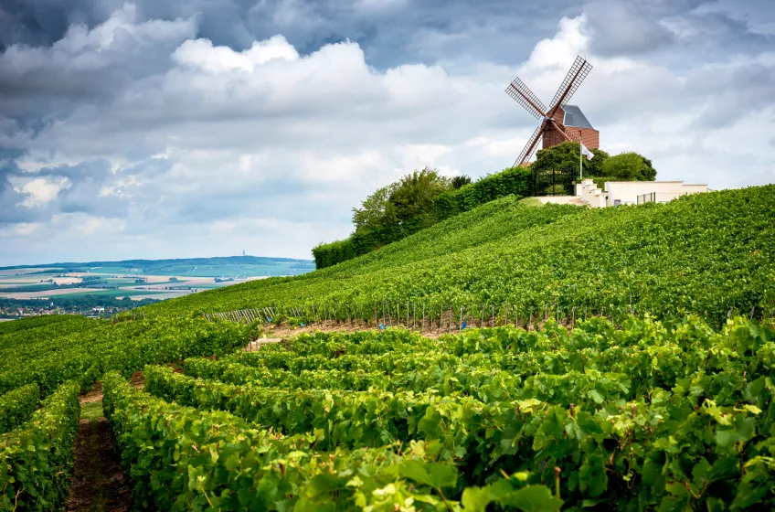 Discover Champagne | A Visitor's Introduction to Champagne