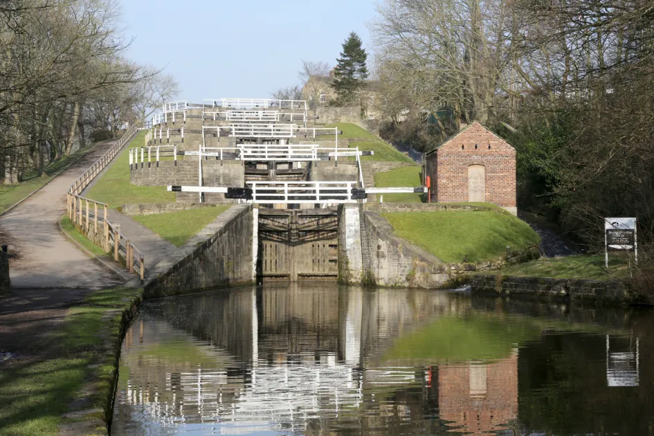 Discover Bingley | A Visitor's Introduction to Bingley