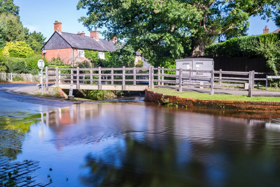A Visitor's Introduction to Brockenhurst, New Forest