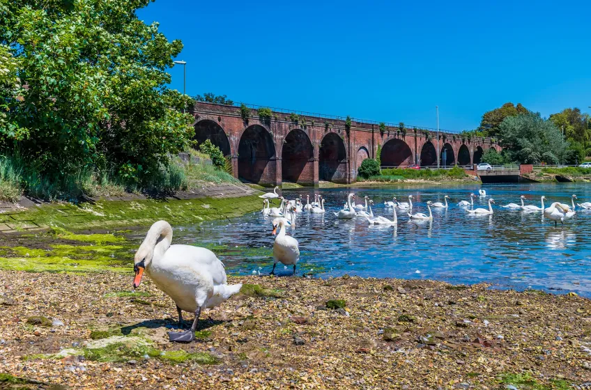 A Visitor's Introduction to Fareham, Hampshire
