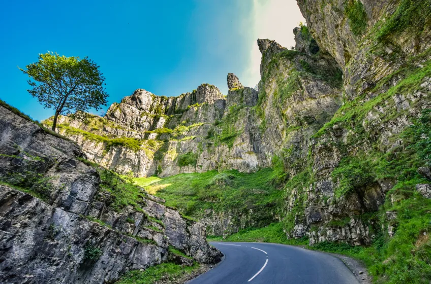 Cheddar | A Visitor's Introduction to Cheddar