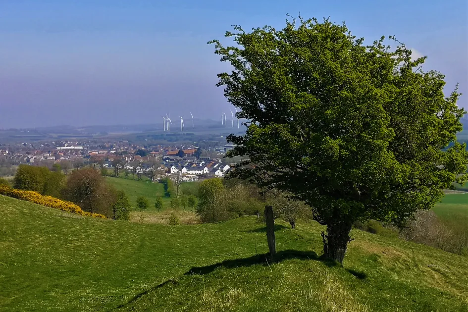 Discover Cowdenbeath | A Visitor's Introduction to Cowdenbeath