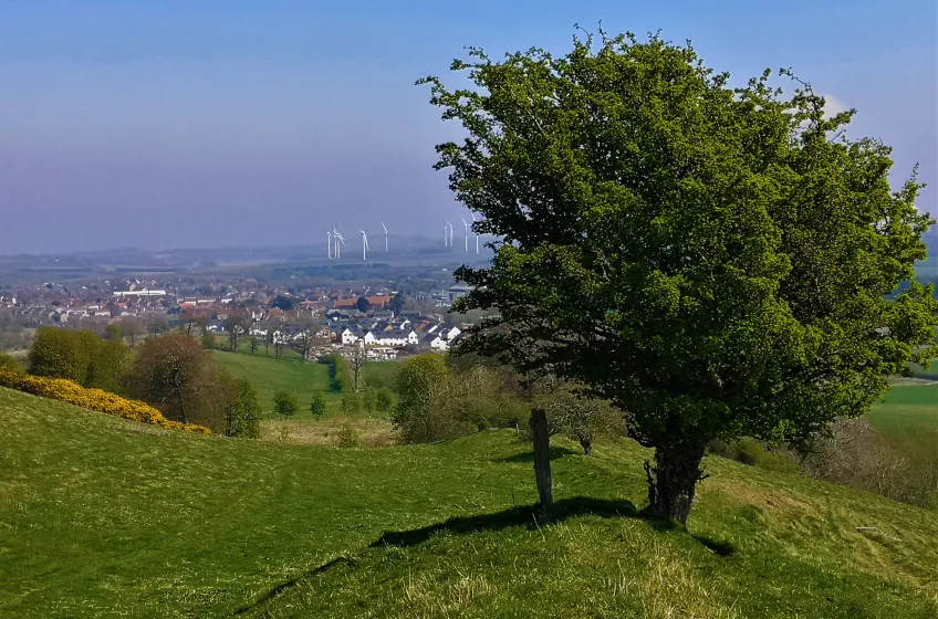 Discover Cowdenbeath | A Visitor's Introduction to Cowdenbeath