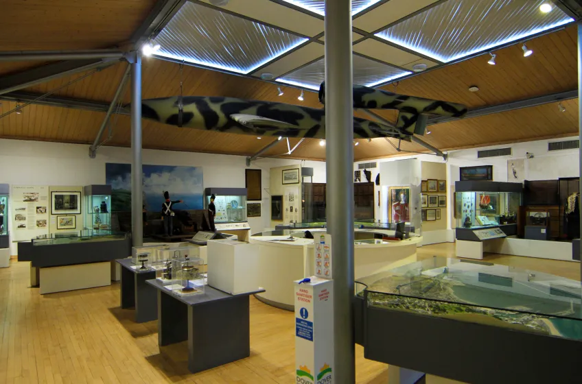 Dover Museum | A Visitor's Introduction to Dover Museum