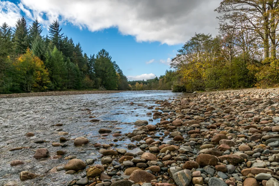 Discover Aboyne | A Visitor's Introduction to Aboyne