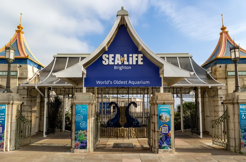 A Visitor's Introduction to SEA LIFE, Brighton