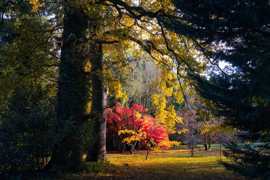 Discover Bedale | A Visitor's Introduction to Bedale