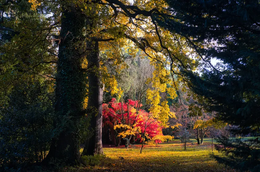 Discover Bedale | A Visitor's Introduction to Bedale